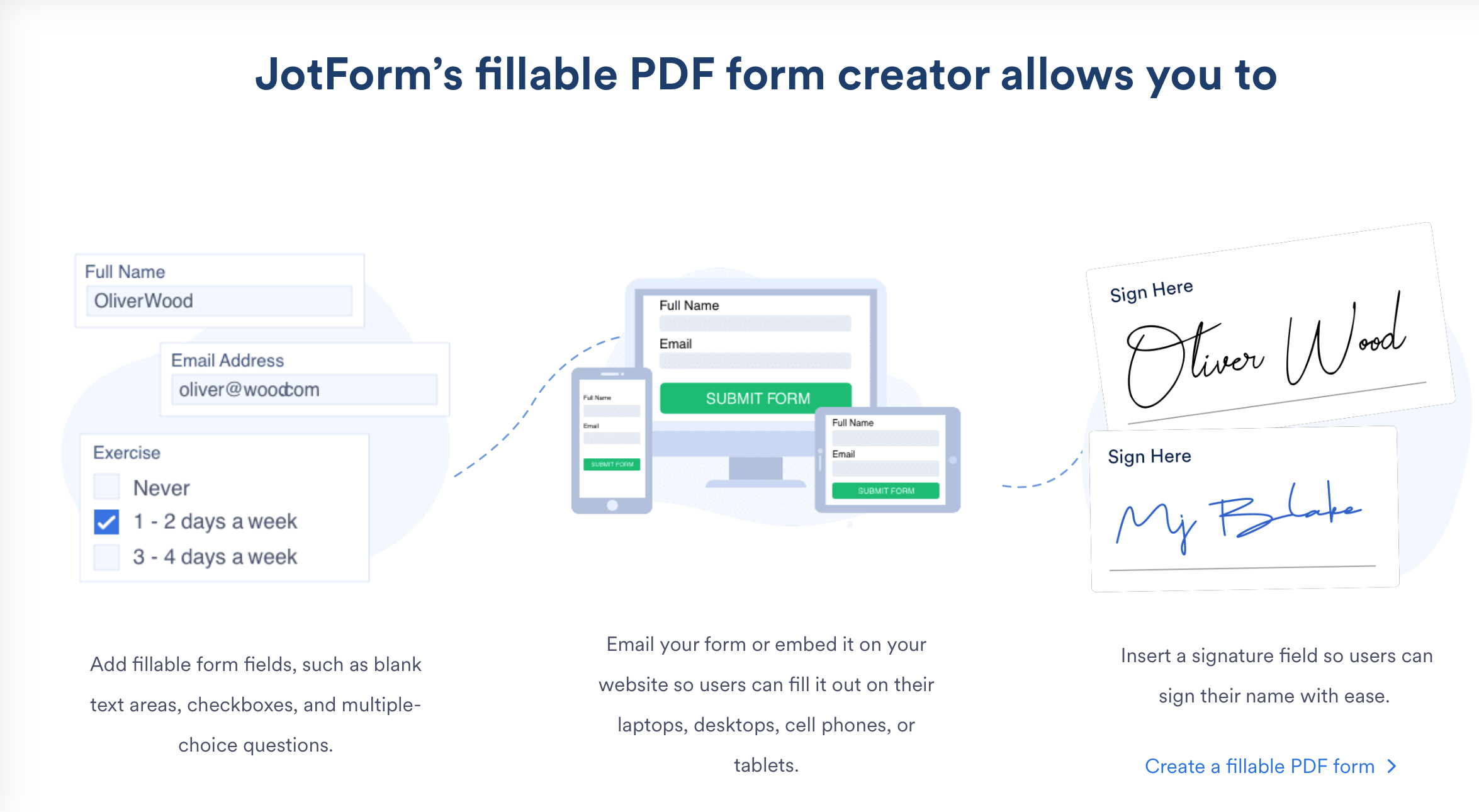 Fillable PDF Form Signature Field